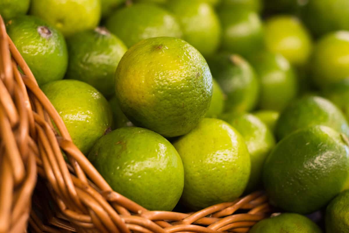 Refreshing Sugar-free Thai Lime Soda Recipe - Reluctant Low Carb Life