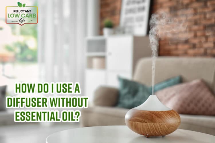 How Do I Use A Diffuser Without Essential Oil? - Reluctant Low Carb Life