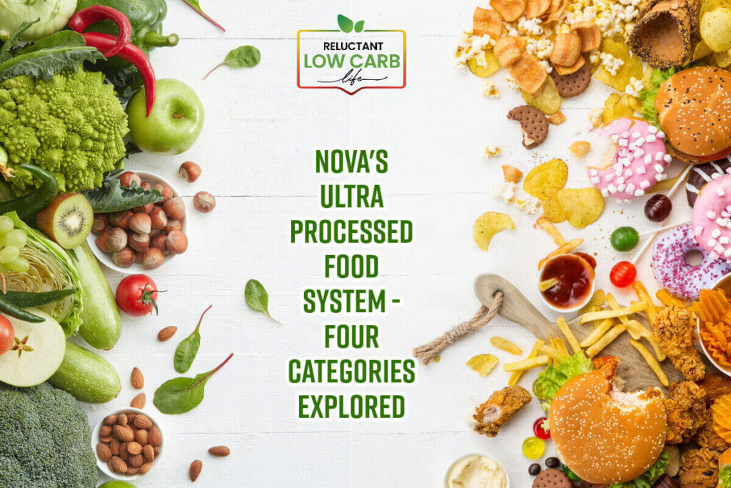NOVA's Ultra Processed Food System - 4 Categories Explored - Reluctant ...