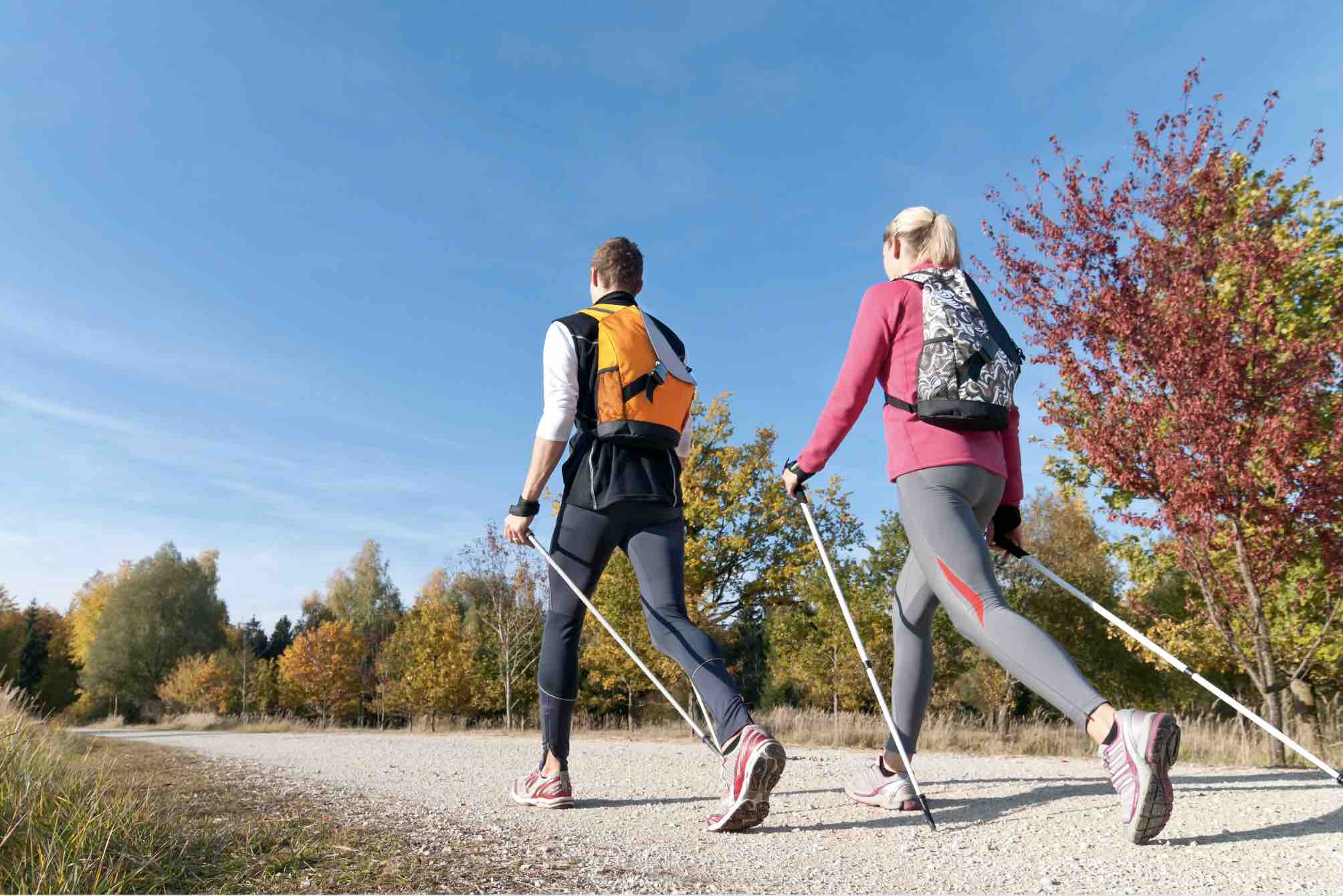 Nordic Walking Benefits, 16 Benefits Explored - Reluctant Low Carb Life