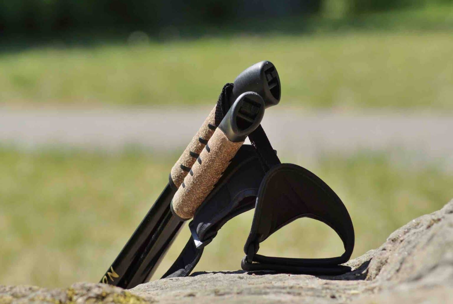 Nordic Walking Meaning And Nordic Walking Sticks - Reluctant Low Carb Life