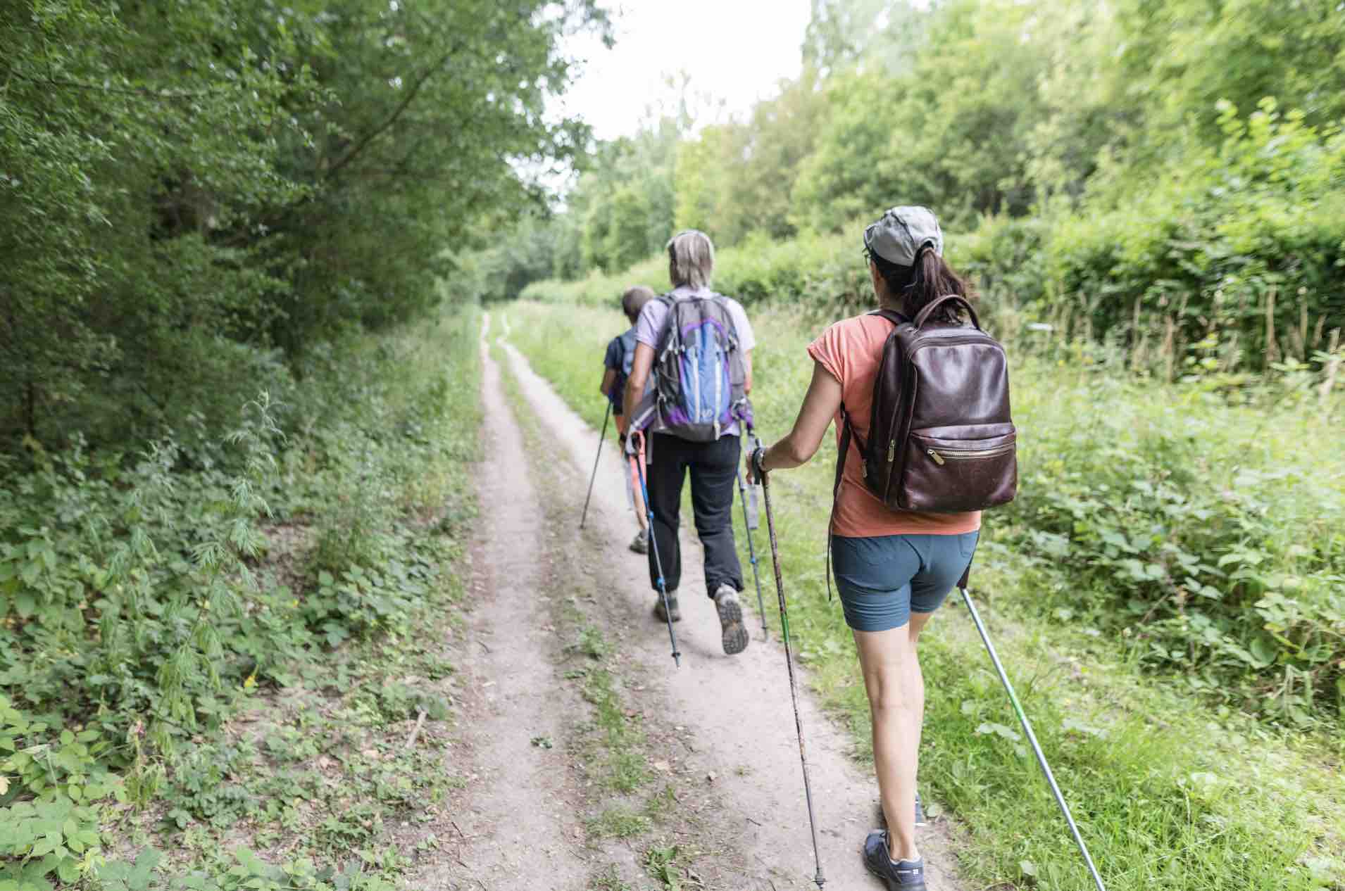 Nordic Walking Meaning - What Is Nordic Walking? - Reluctant Low Carb Life