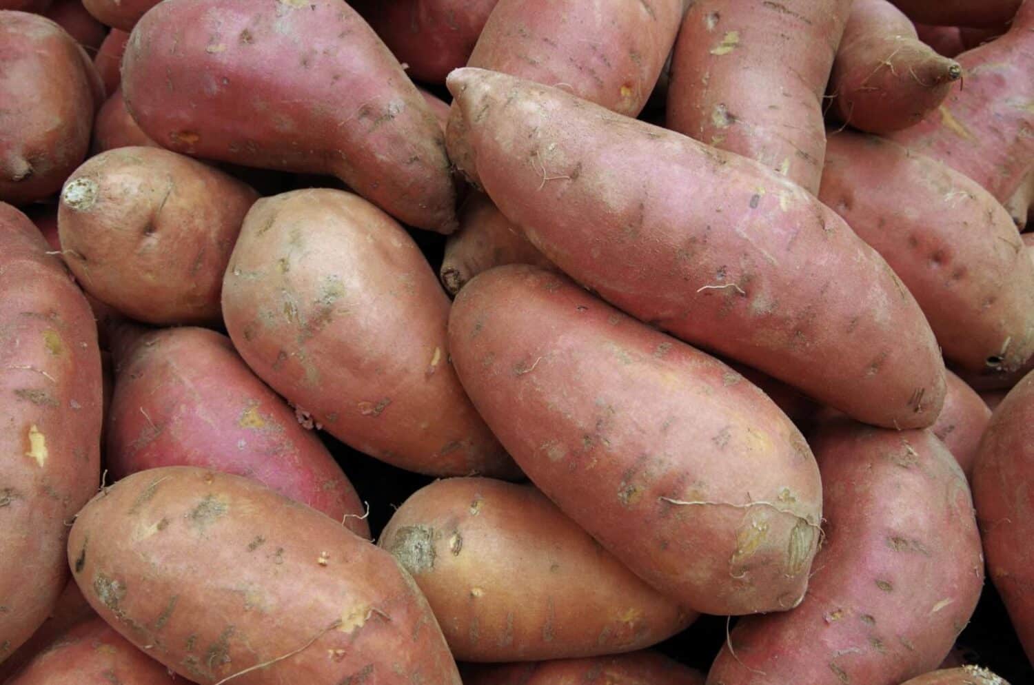 Sweet Potato: The Ultimate Satiety Guide - Reluctant Low Carb Life